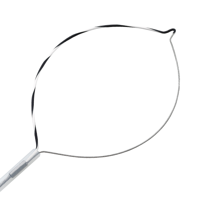 ENDOx Polypectome - Micro-Tech UK